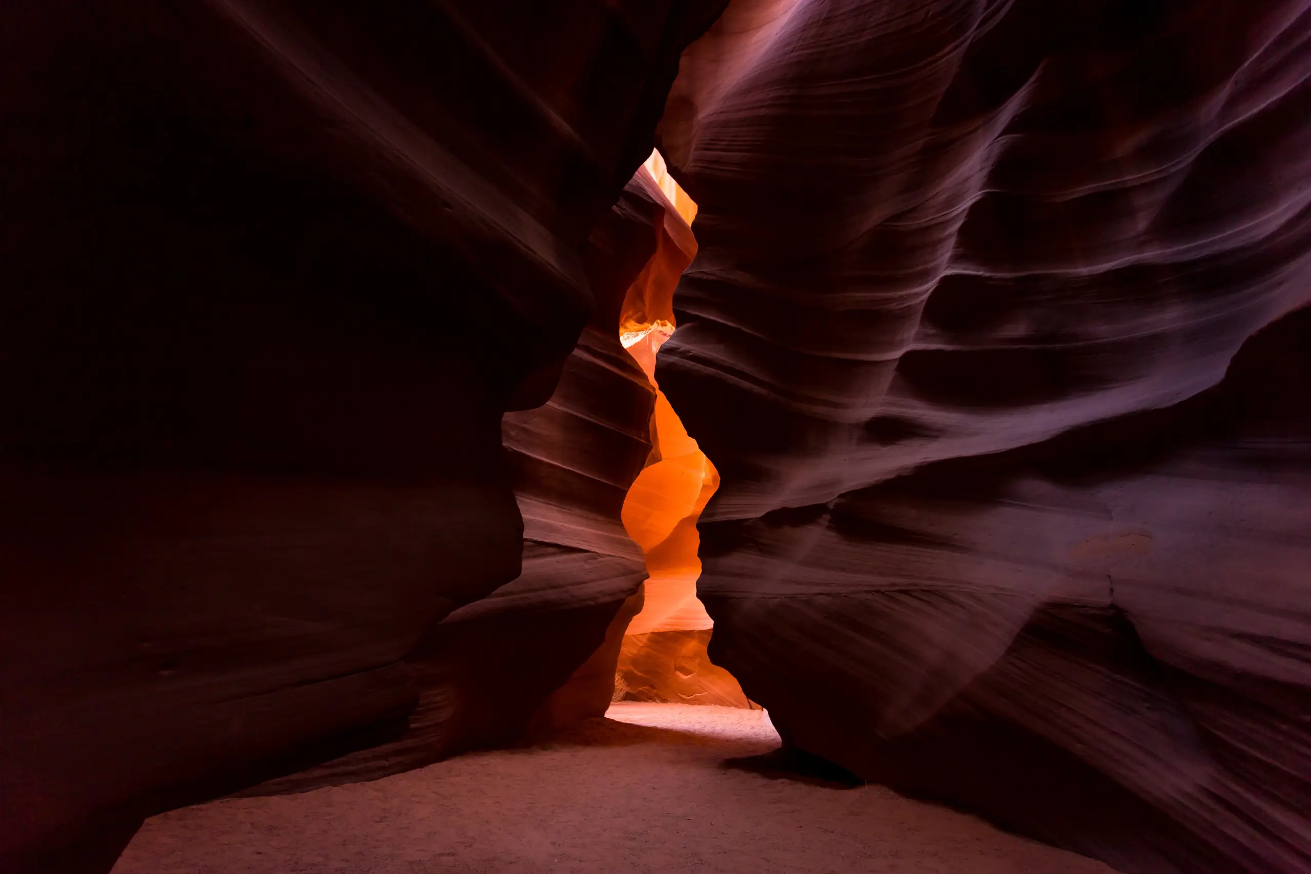 Biomimicry and Product Design: Taking inspiration from Nature